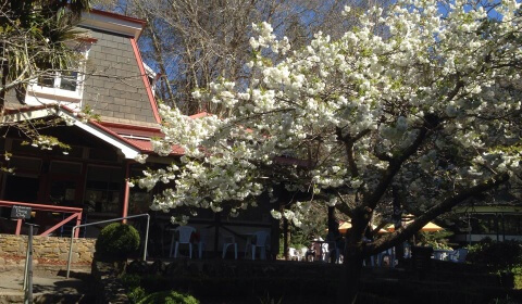 GORGE RESTAURANT - HEADS UP FOOD GUIDE LAUNCESTON